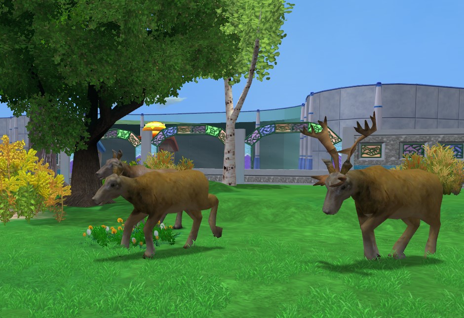 Europe Pack | ZooBerry