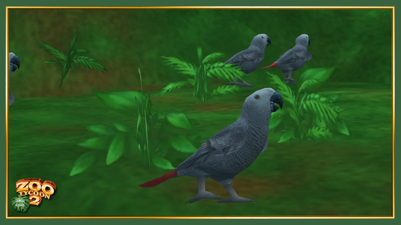 Jungle Escape | ZooBerry