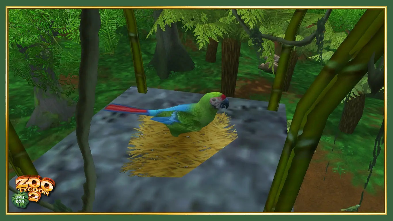 Jungle Escape | ZooBerry