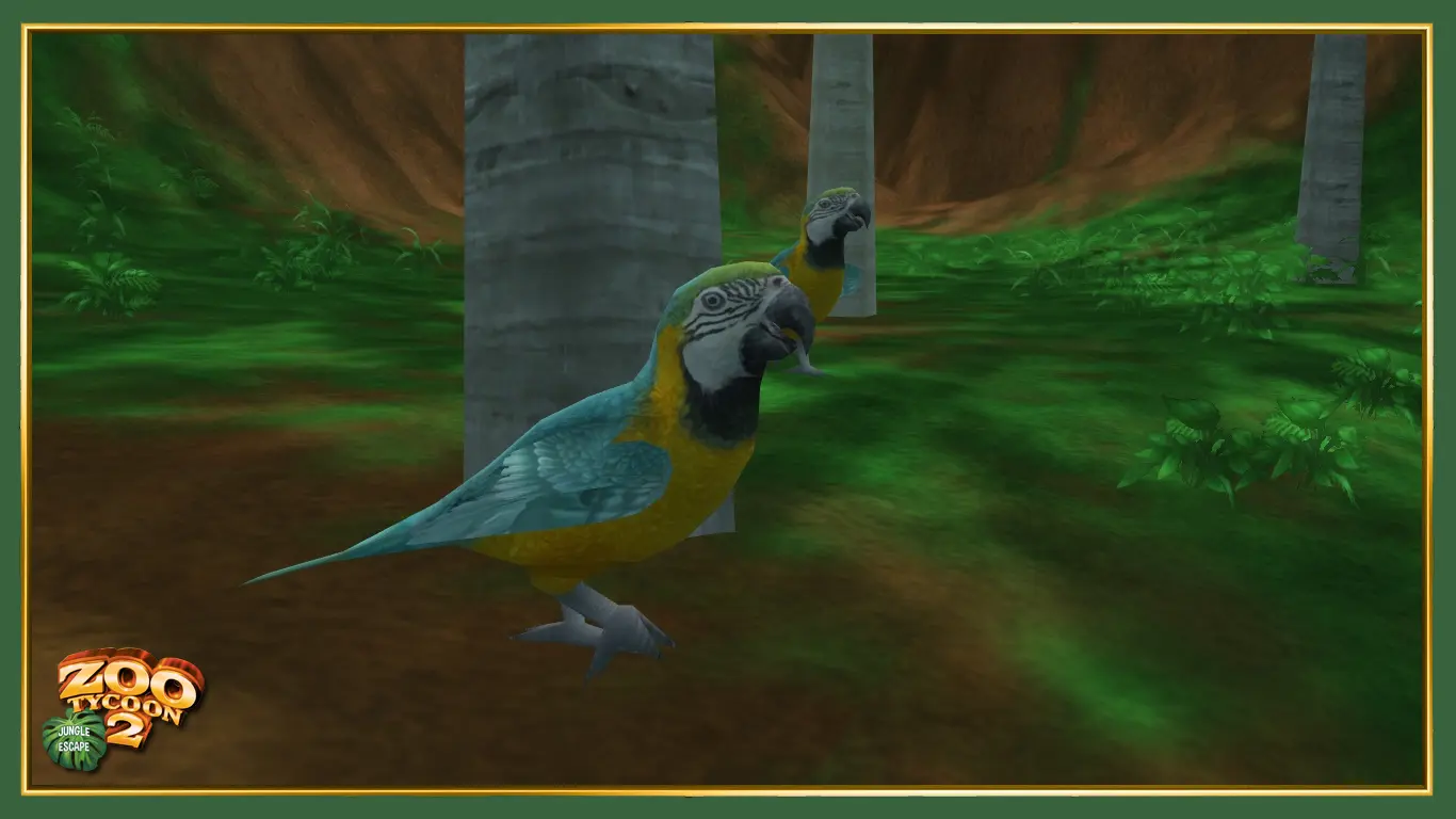 Jungle Escape | ZooBerry