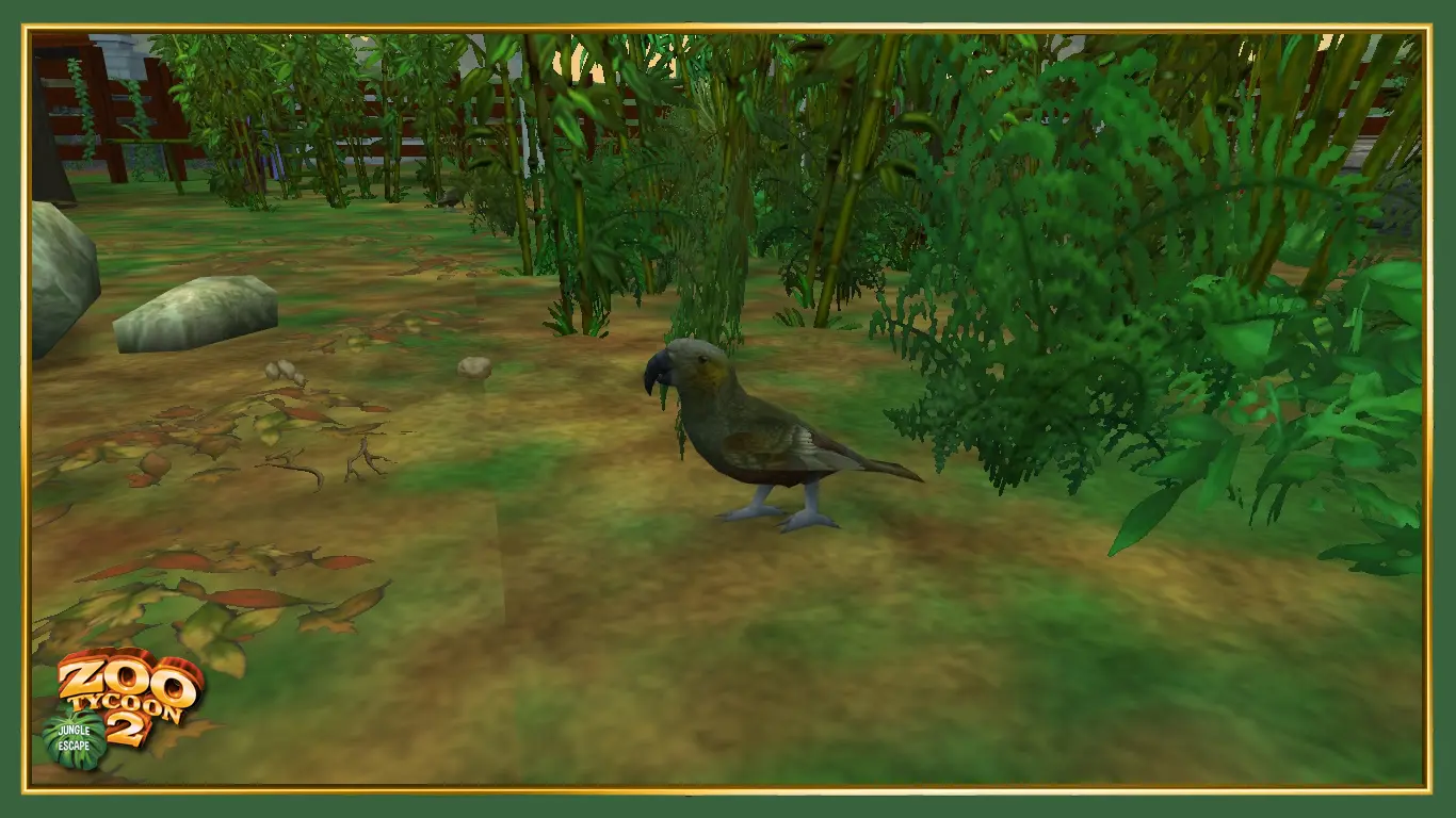 Jungle Escape | ZooBerry