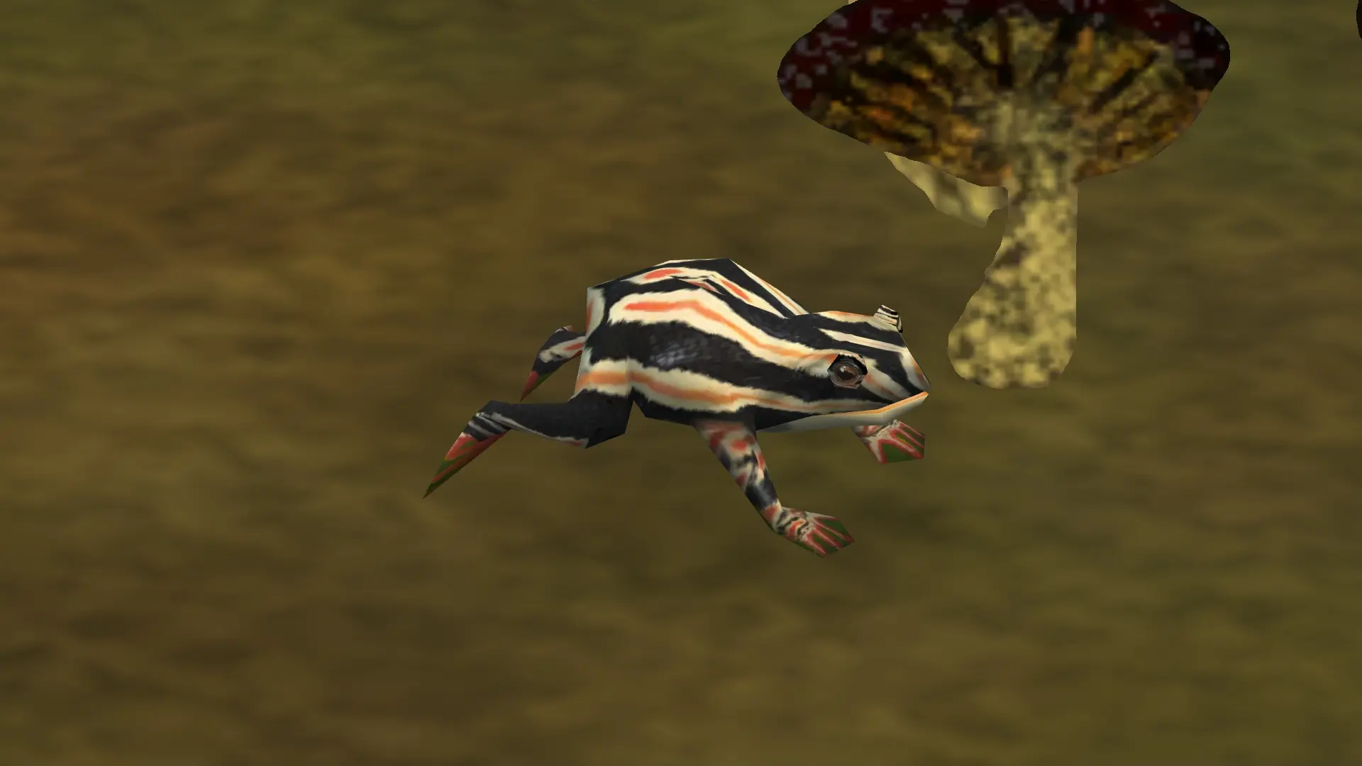Painted Reed Frog Pack | ZooBerry