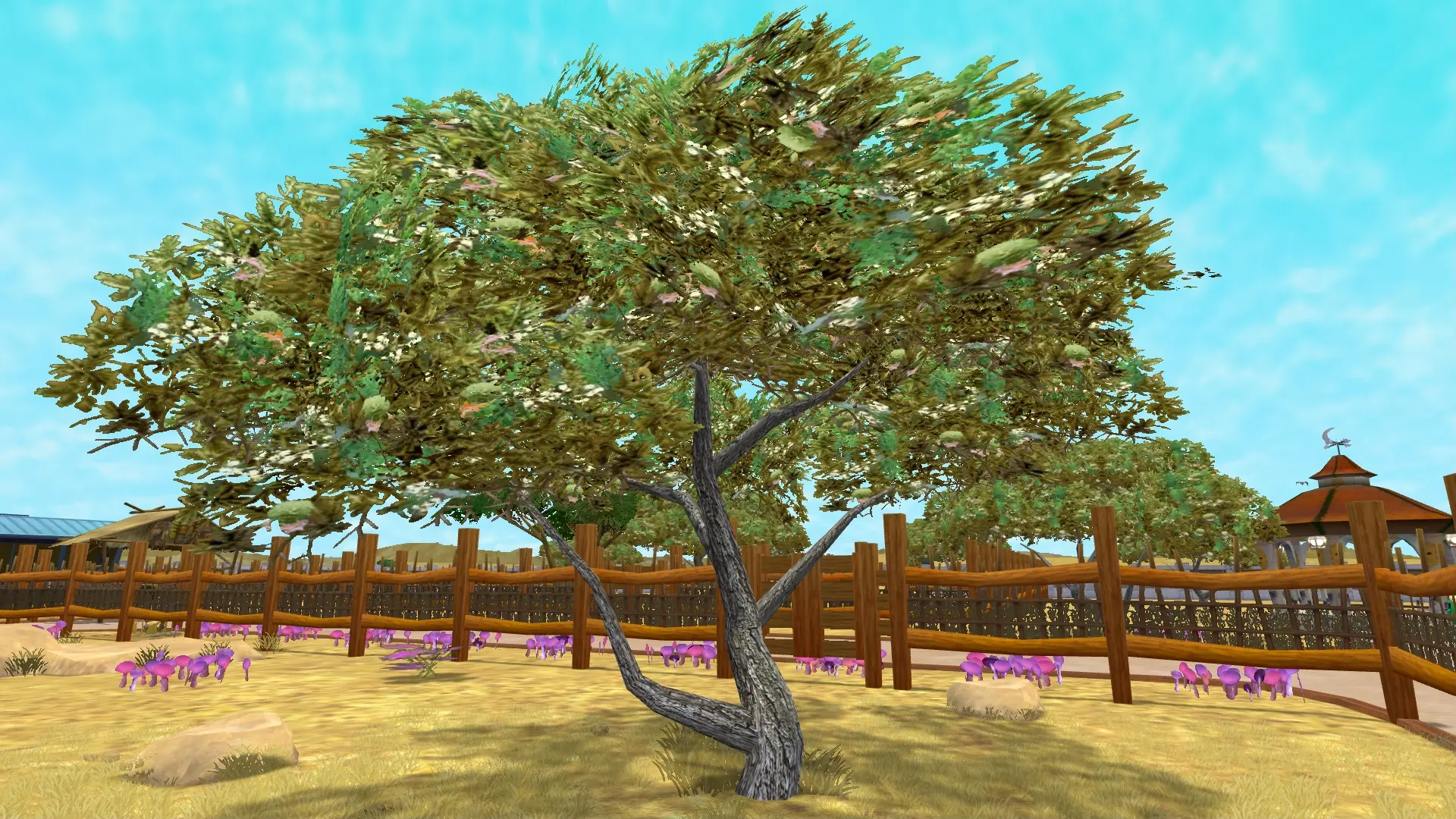 Savannah Pack | ZooBerry