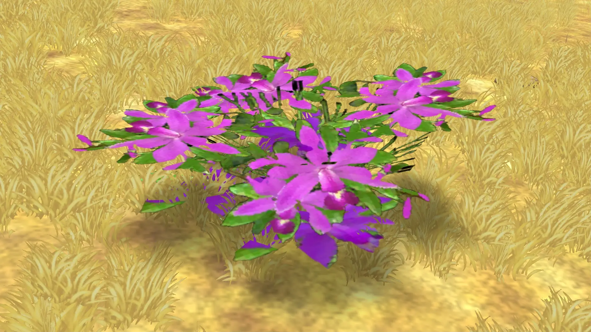 Savannah Pack | ZooBerry