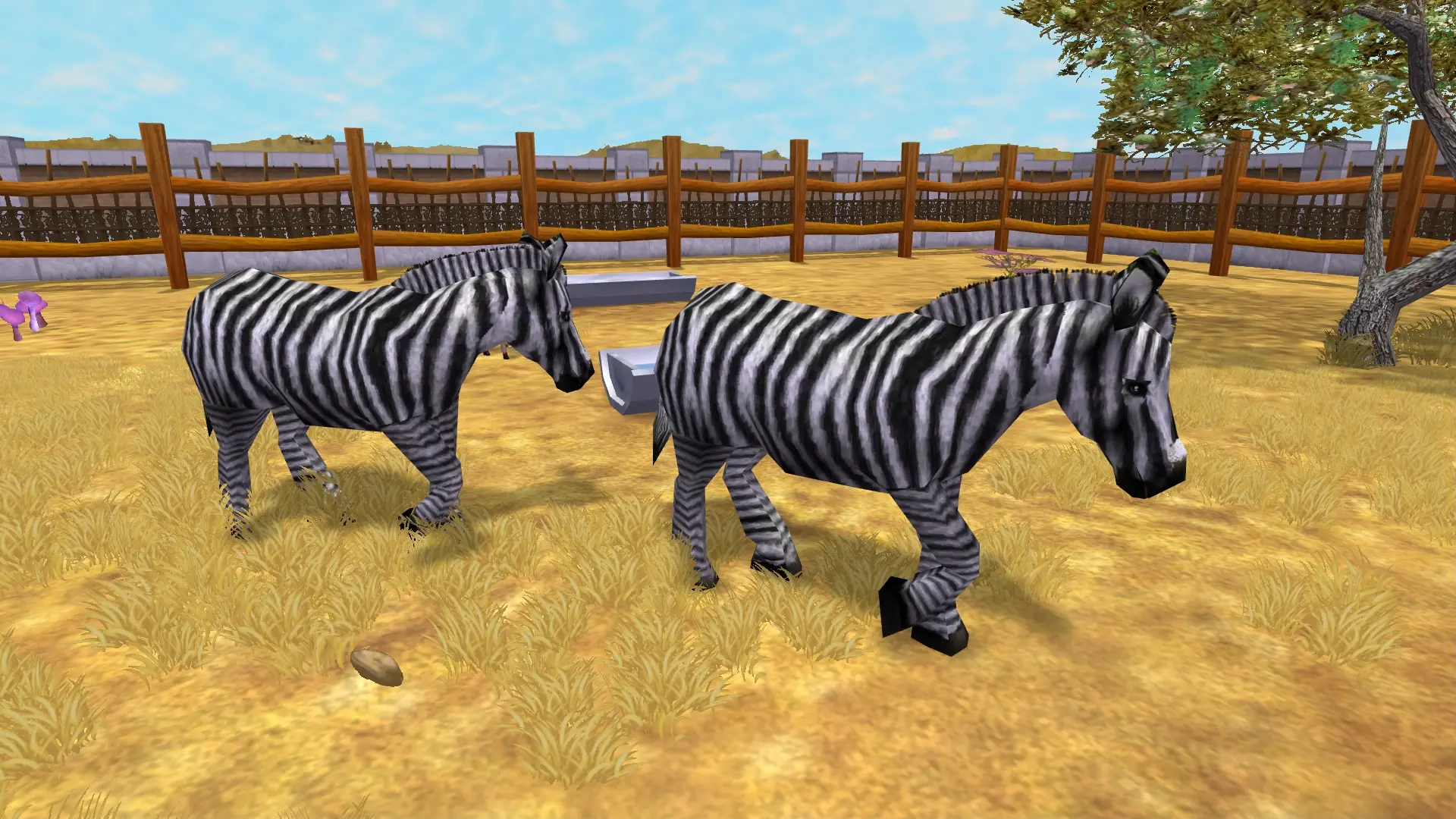 Savannah Pack | ZooBerry