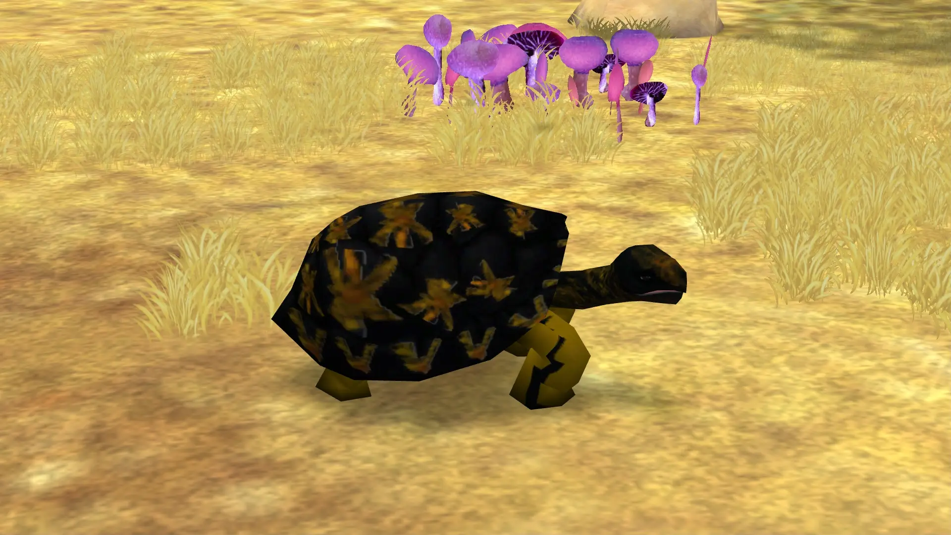 Savannah Pack | ZooBerry