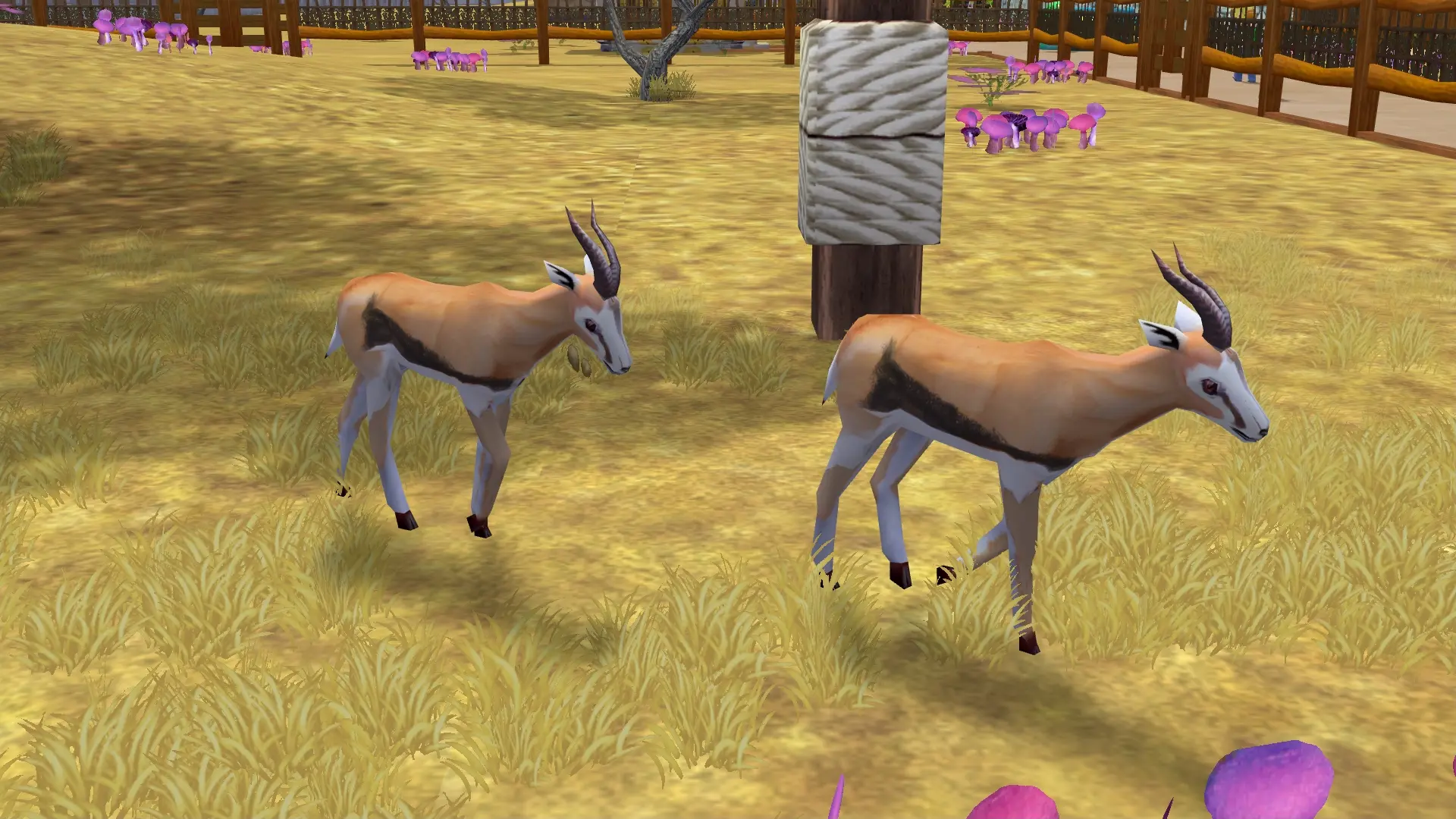 Savannah Pack | ZooBerry