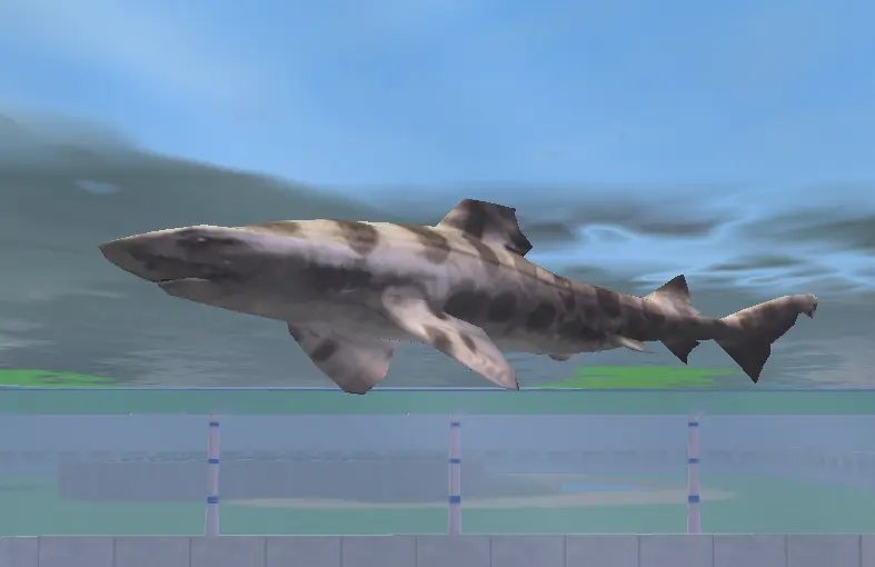 Shark Pack Total Remake | ZooBerry