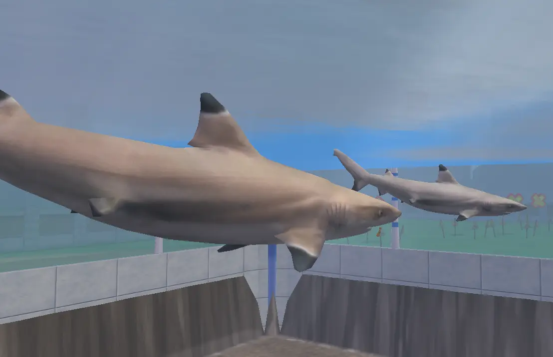 Shark Pack Total Remake | ZooBerry