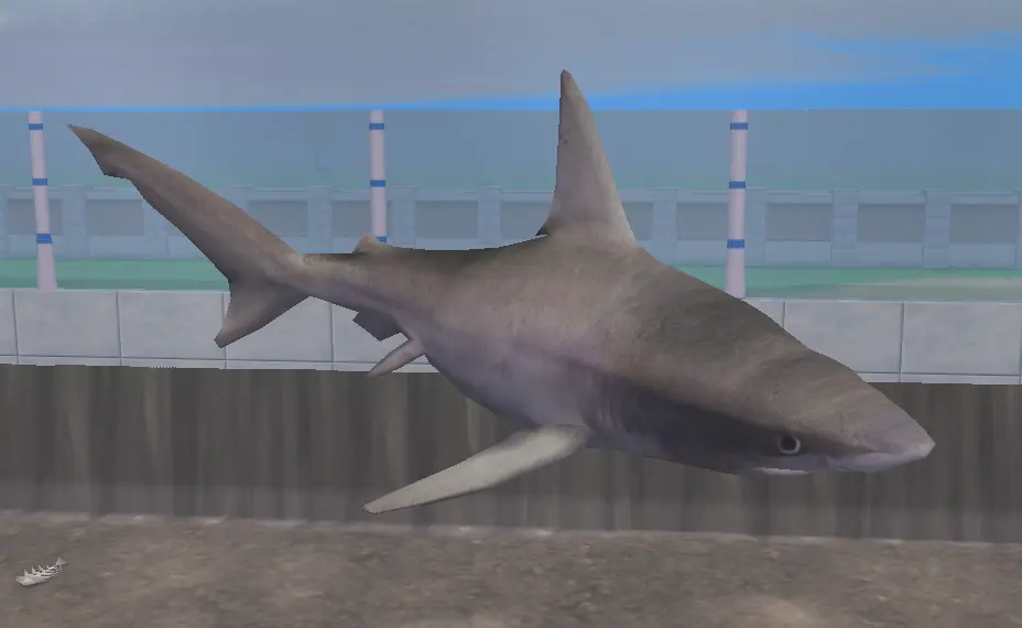 Shark Pack Total Remake | ZooBerry