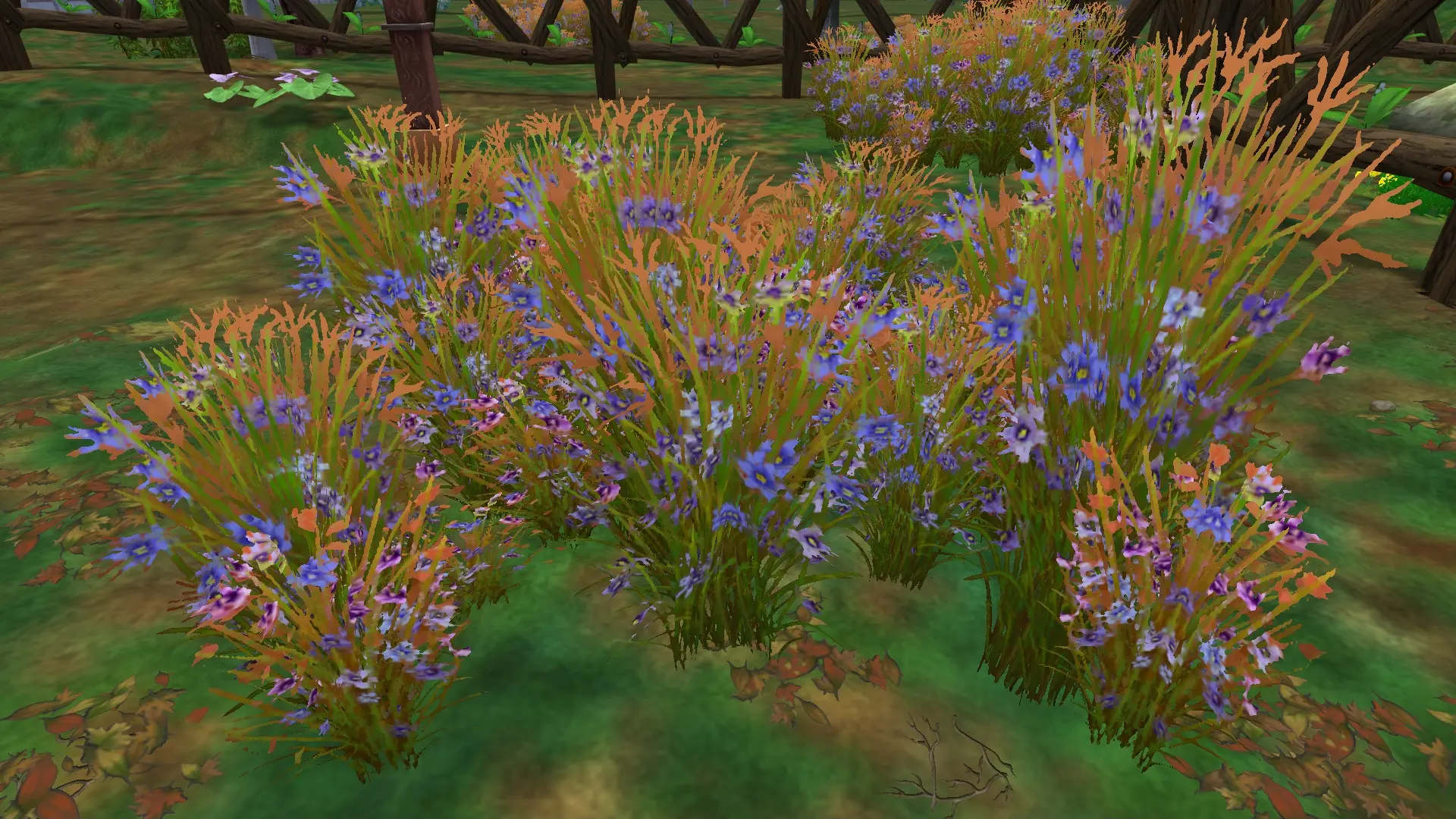 Temperate Forest Pack | ZooBerry