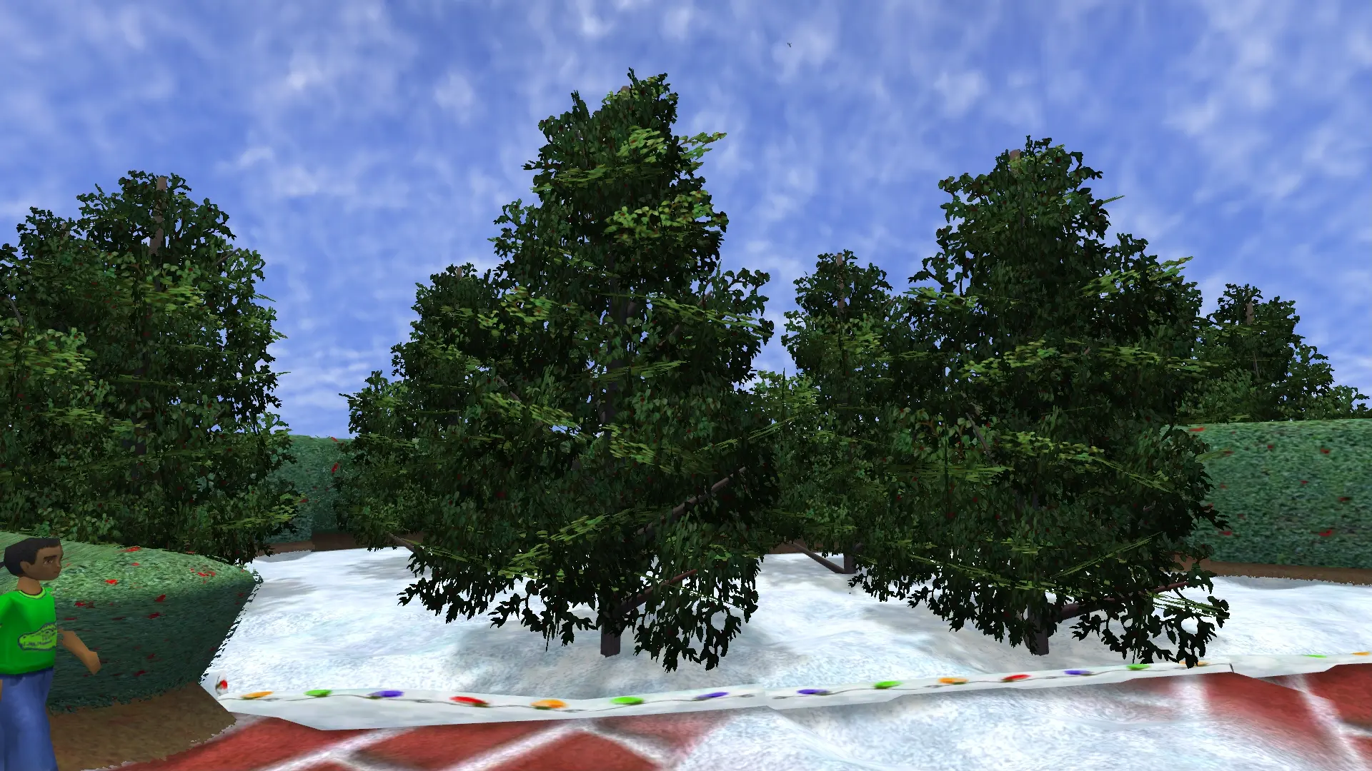 The Christmas Pack 2: 7 Reasons to Celebrate | ZooBerry