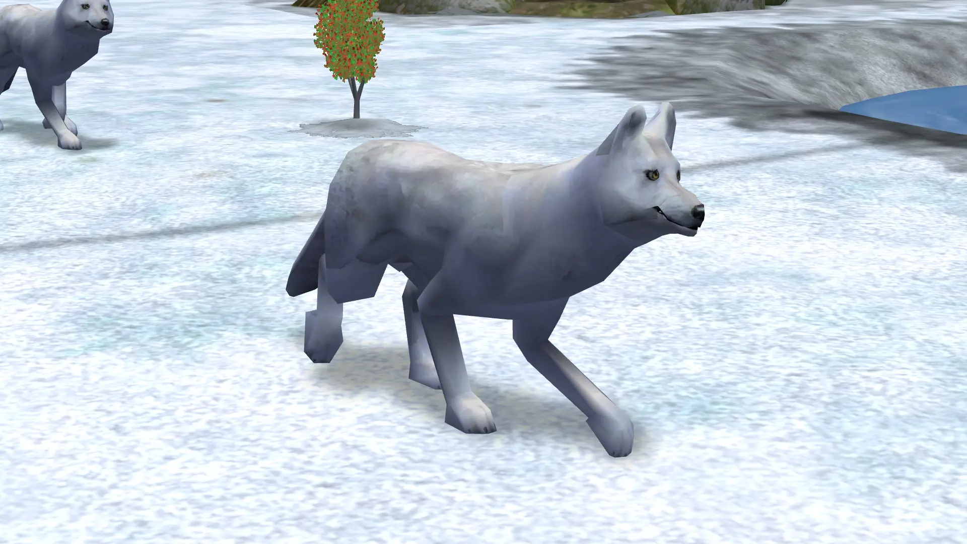 Tundra Pack | ZooBerry