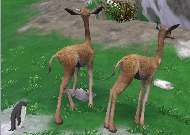 Vicuña Pack | ZooBerry