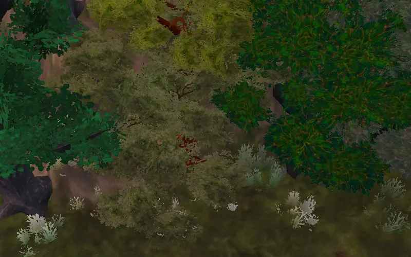 Afromontane Foliage | ZooBerry