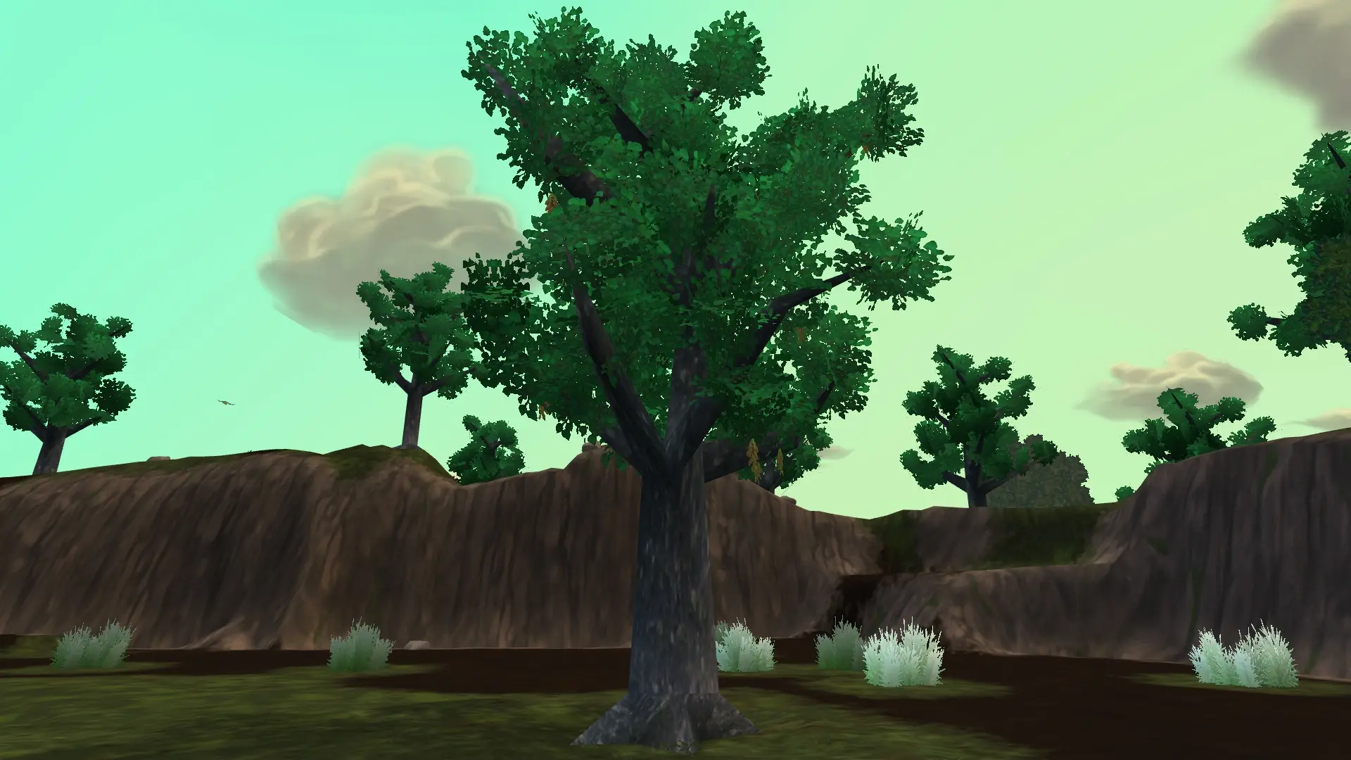 Afromontane Foliage | ZooBerry