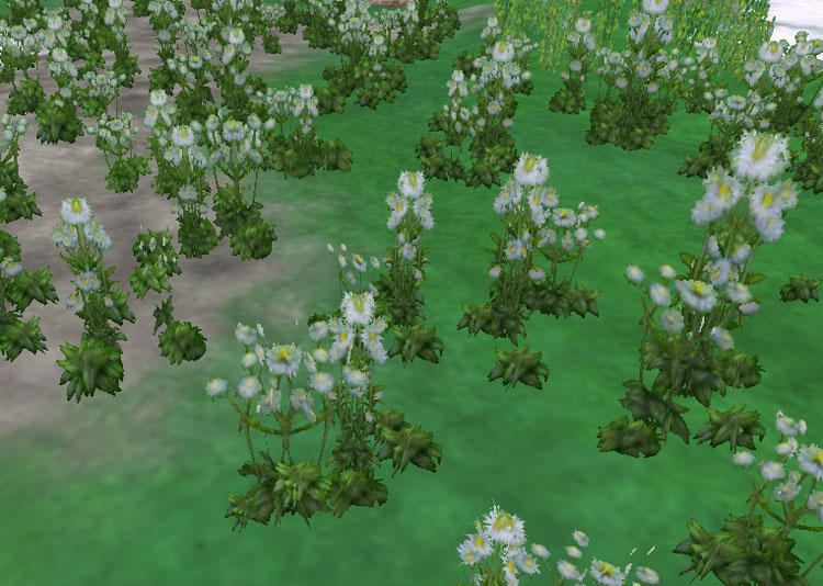 Foliage Pack | ZooBerry