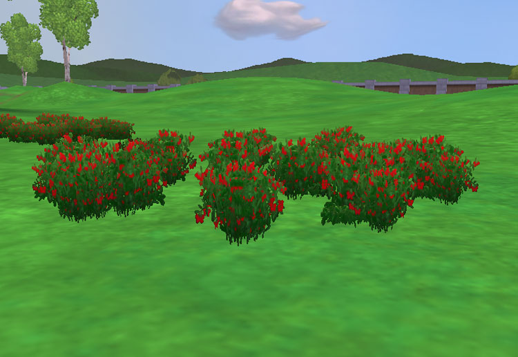 Foliage Pack | ZooBerry