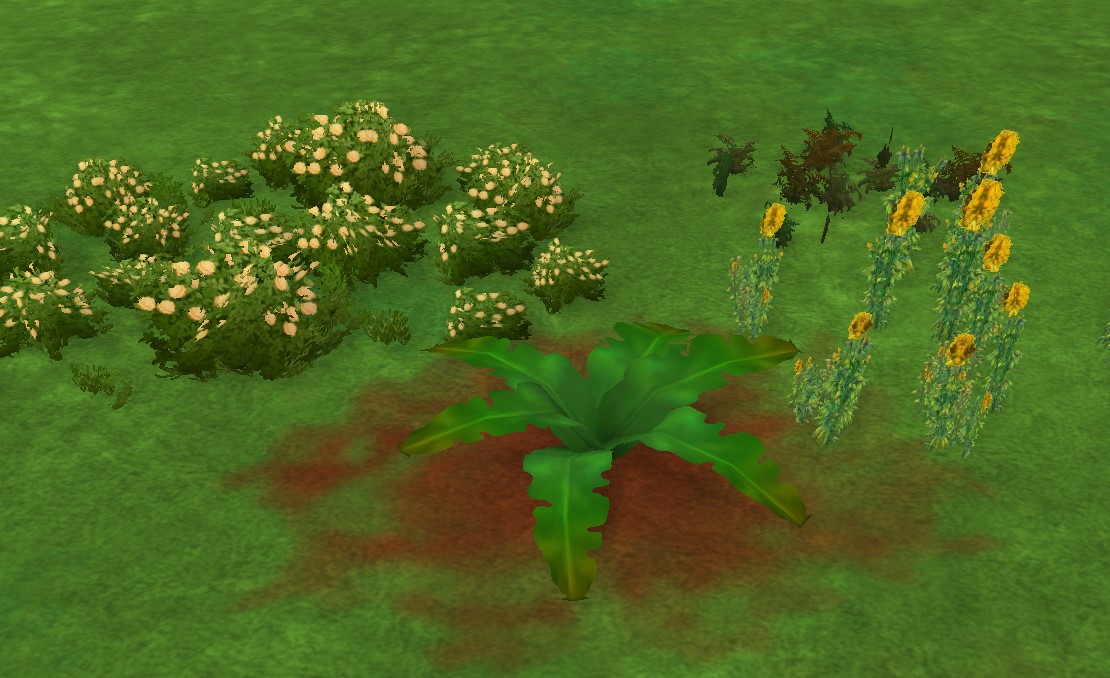 Nique's Foliage Pack | ZooBerry