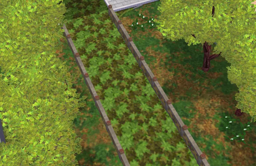 Leafy Path | ZooBerry