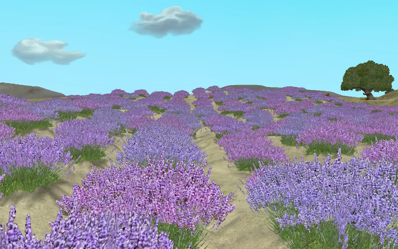 Lavender Fields Save File | ZooBerry
