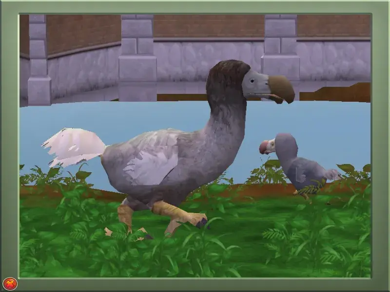 Dodo Reskin | ZooBerry