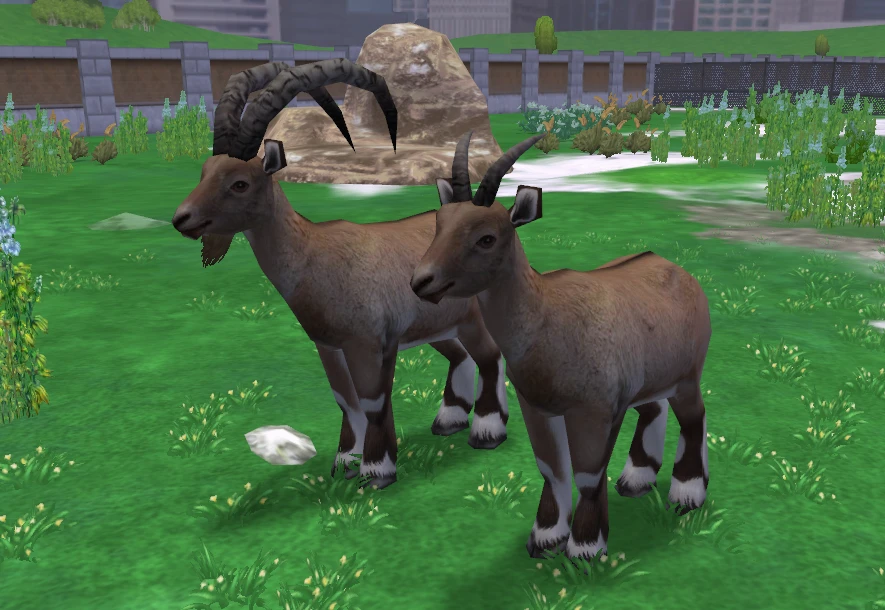 Ibex Reskin | ZooBerry