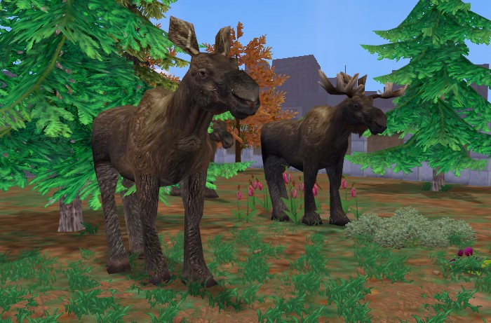 Reskin Pack 1 | ZooBerry