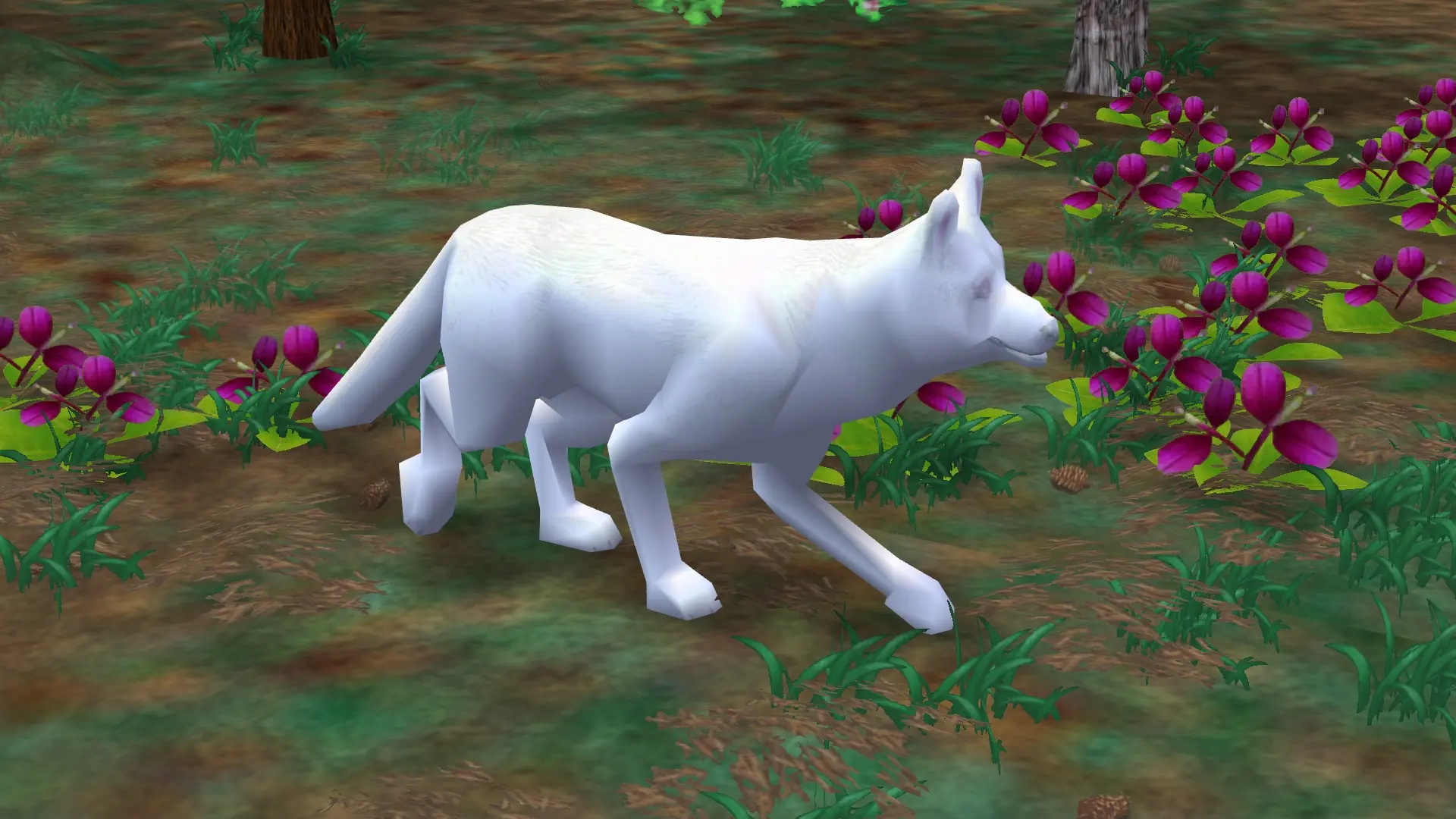 Albino Pack | ZooBerry