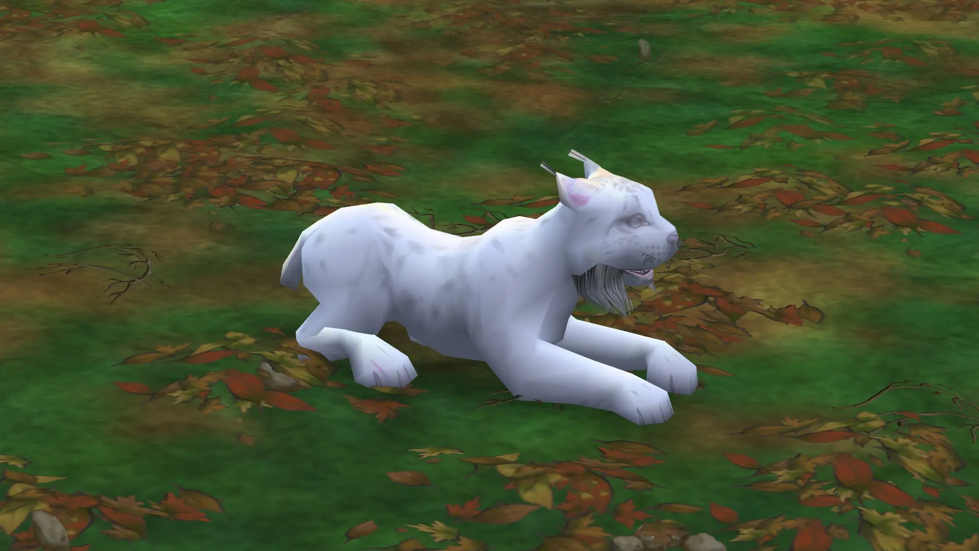 Albino Pack | ZooBerry