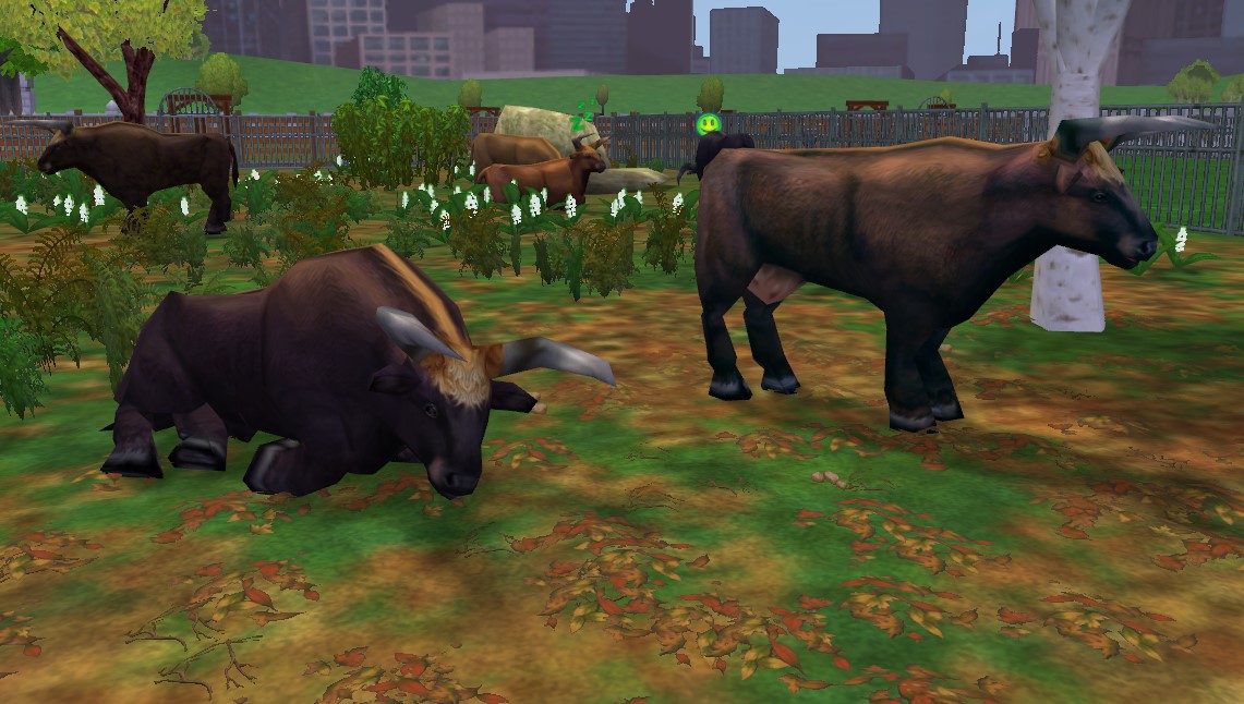 Auroch Variants | ZooBerry