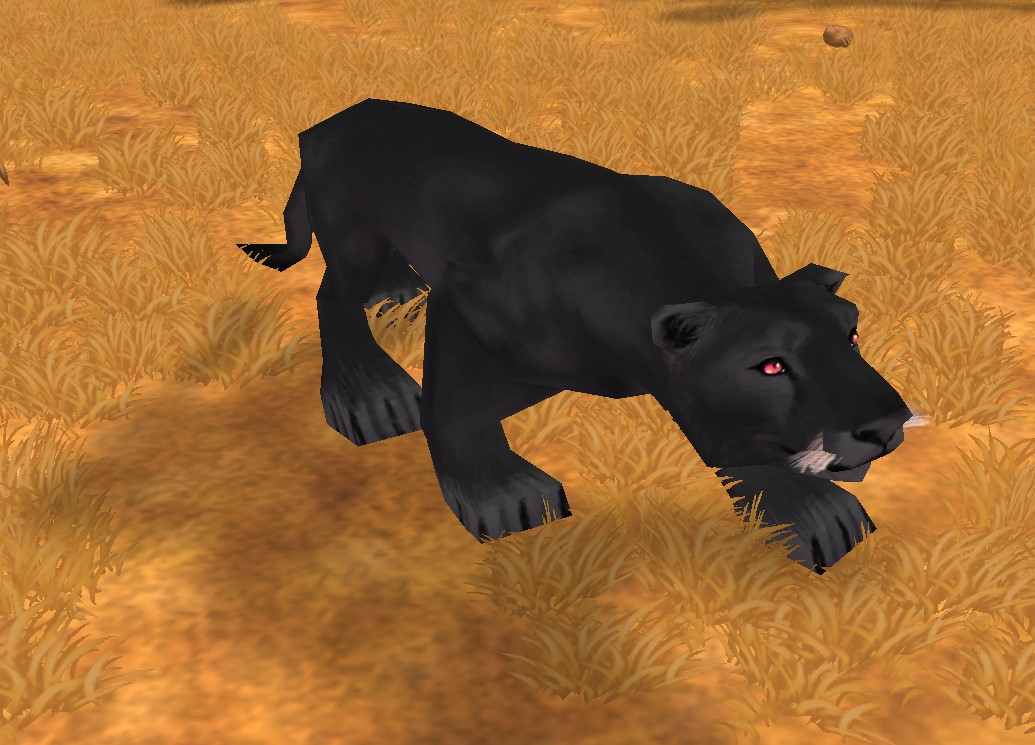 Black Lion Variant | ZooBerry