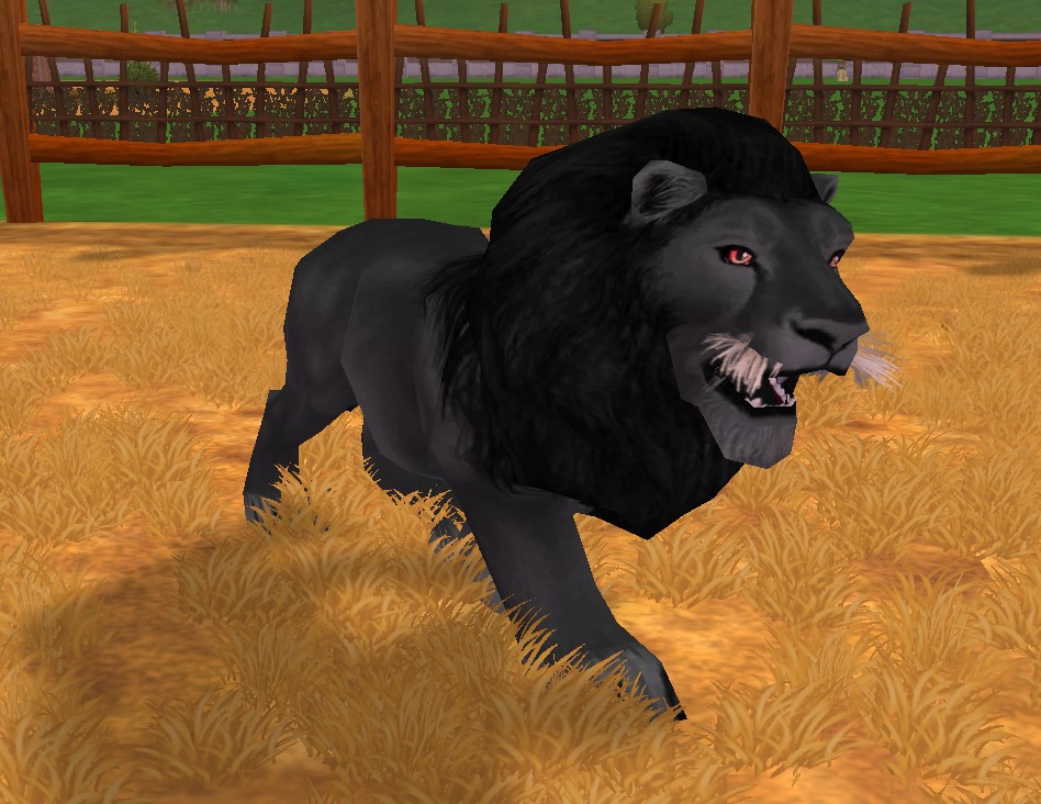 Black Lion Variant | ZooBerry