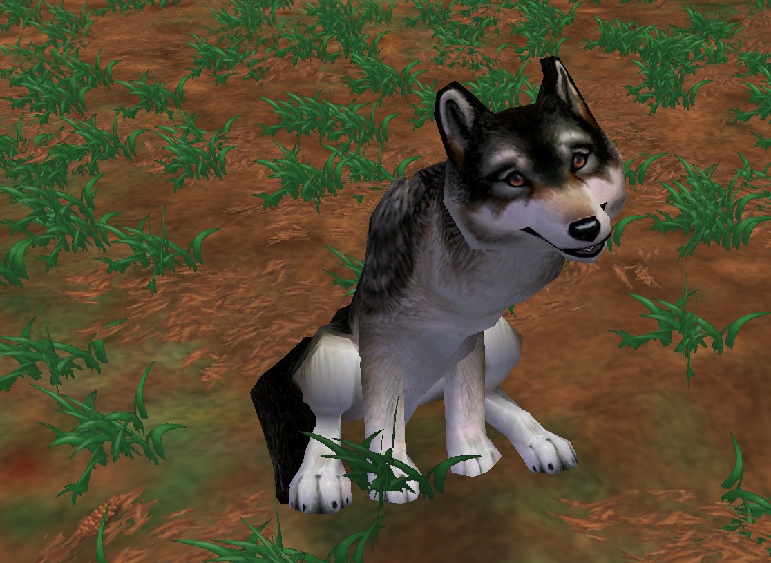 Dark Wolf Variant | ZooBerry