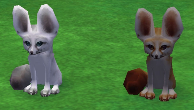 Fennec Fox Dark Variant | ZooBerry