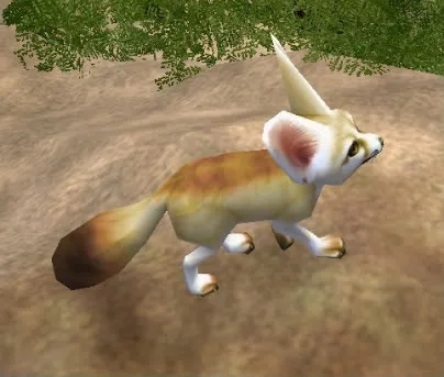 Fennec Fox Variants | ZooBerry