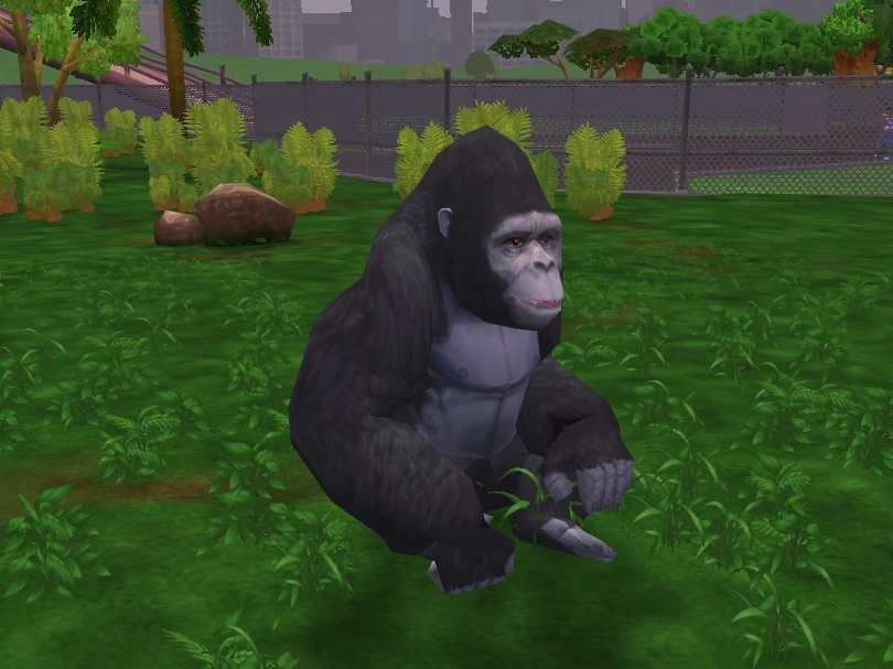 Mountain Gorilla Variant | ZooBerry