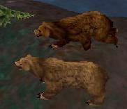 Grizzly Bear Variant | ZooBerry