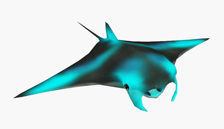 Manta Ray Variants | ZooBerry